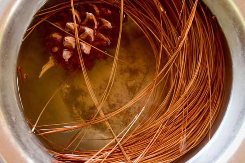 D'source Introduction | Pine Needle Craft of Chamba | D'Source Digital ...