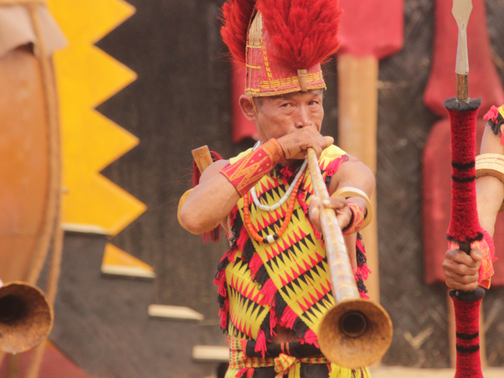 D'source Instruments | Habitat of Nagaland | D'Source Digital Online ...