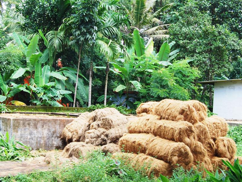 D'source Introduction | Coir Craft - Kerala | D'Source Digital Online ...