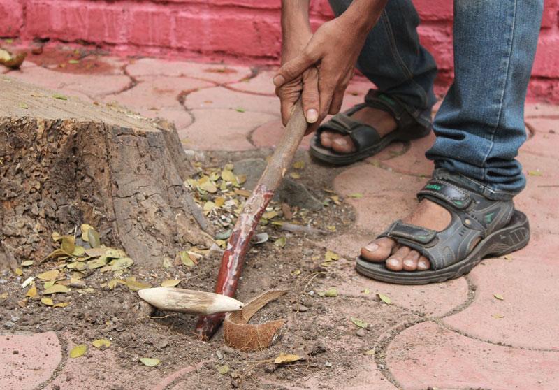 D'source Gilli Danda | Outdoor Games | D'Source Digital Online Learning ...