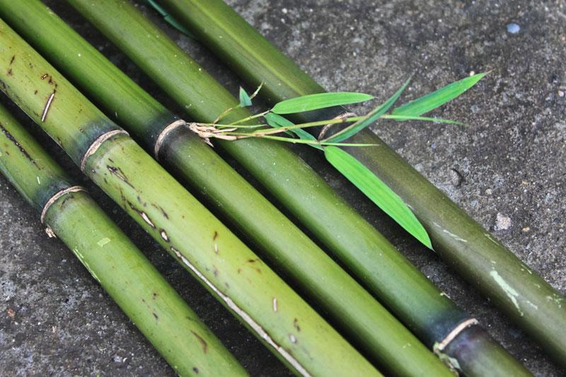 D'source Tools and Raw Materials | Ringal Bamboo Basketry - Uttarakhand ...