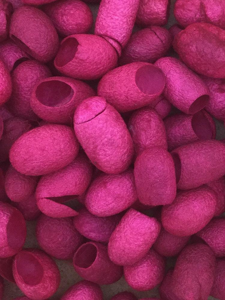 D'source Properties of Cocoon | Silk Cocoon Handicrafts | D'Source ...