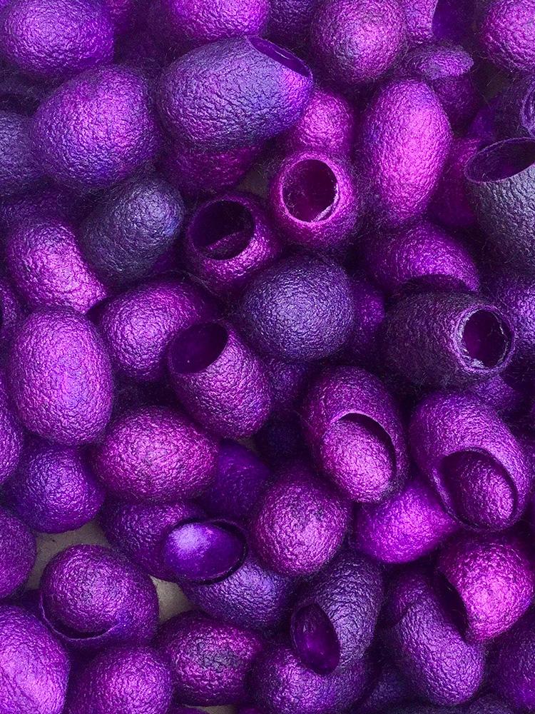 D'source Properties of Cocoon | Silk Cocoon Handicrafts | D'Source ...